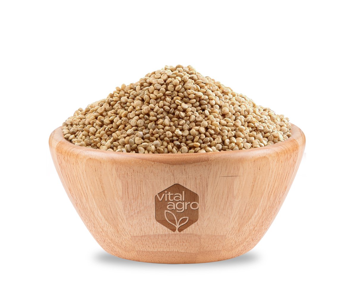 Quinoa Seeds – vitalagro.in